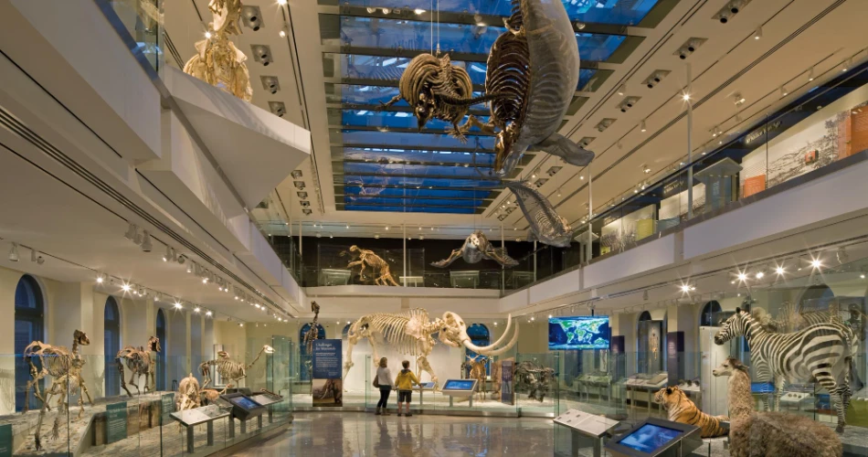 Museums In LA, Free Museums Los Angeles,