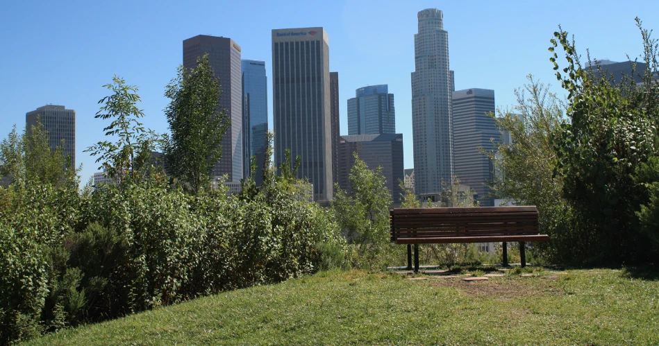 Best View Of LA Skyline At Night, LA City Skyline, Best Places To Visit ...